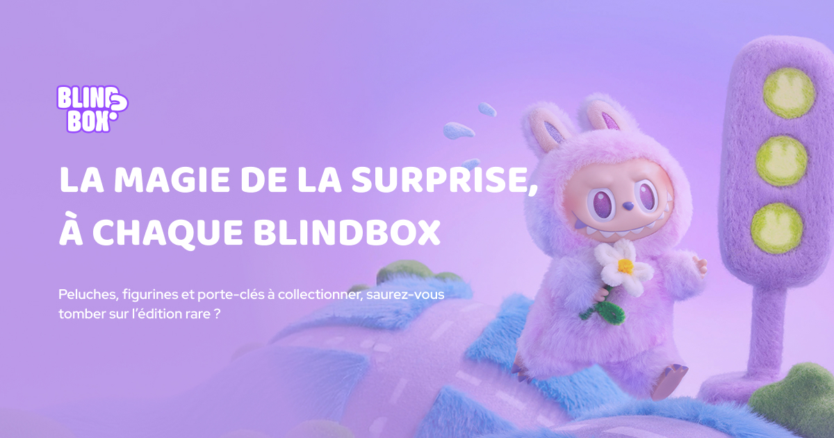 QUESTIONNAIRE FEEDBACK • Blind Box